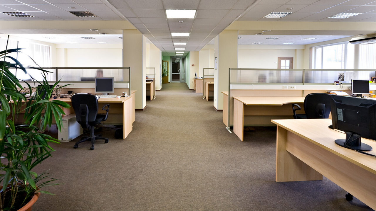 Our Services